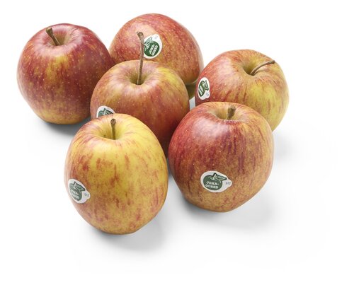 BONI Appel Jonagored bestellen | Colruyt