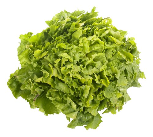 Andijvie bestellen | Colruyt