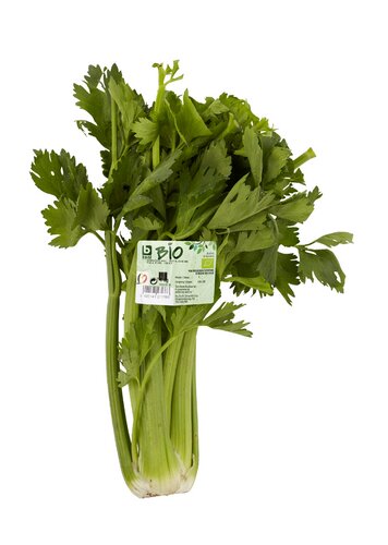 BONI BIO groene selder bestellen | Colruyt