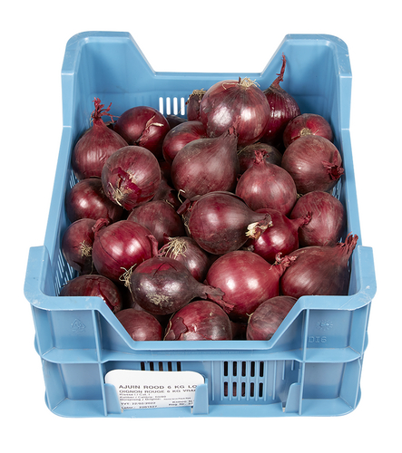 Rode uien bestellen | Colruyt