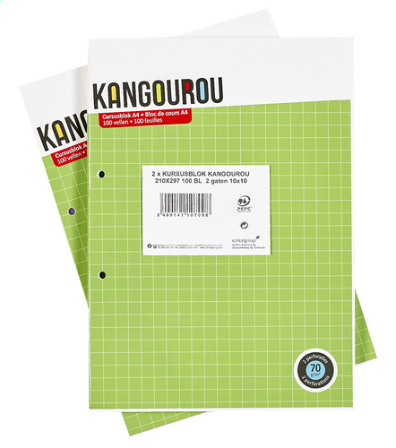 KANGOUROU bloc A4 70g quadr.1cmx1cm | Colruyt